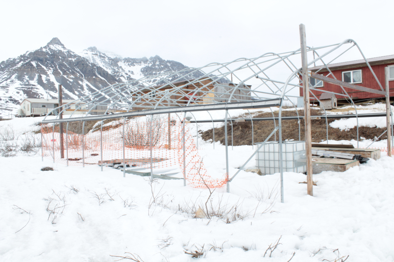 The plastic guessing game… – Gardens in the Arctic