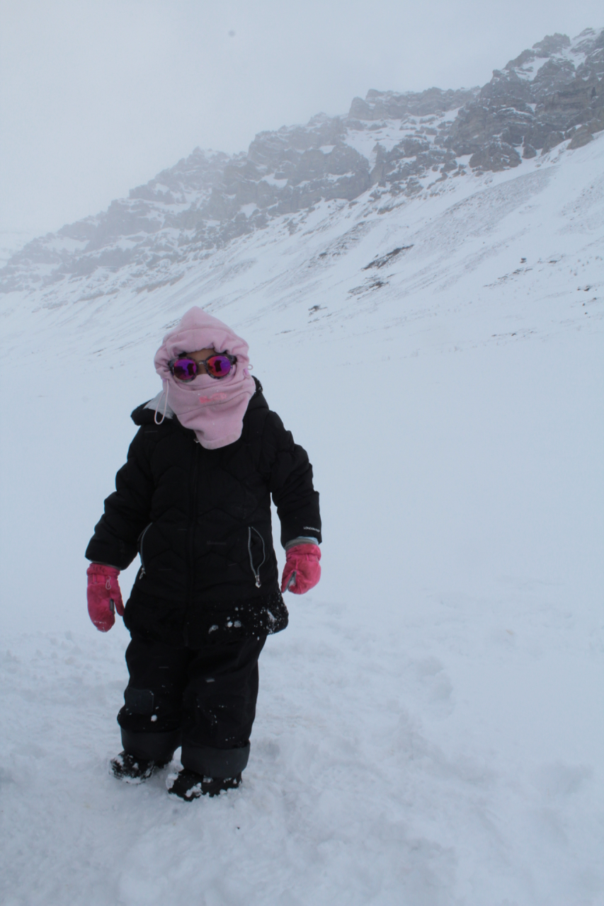 The plastic guessing game… – Gardens in the Arctic